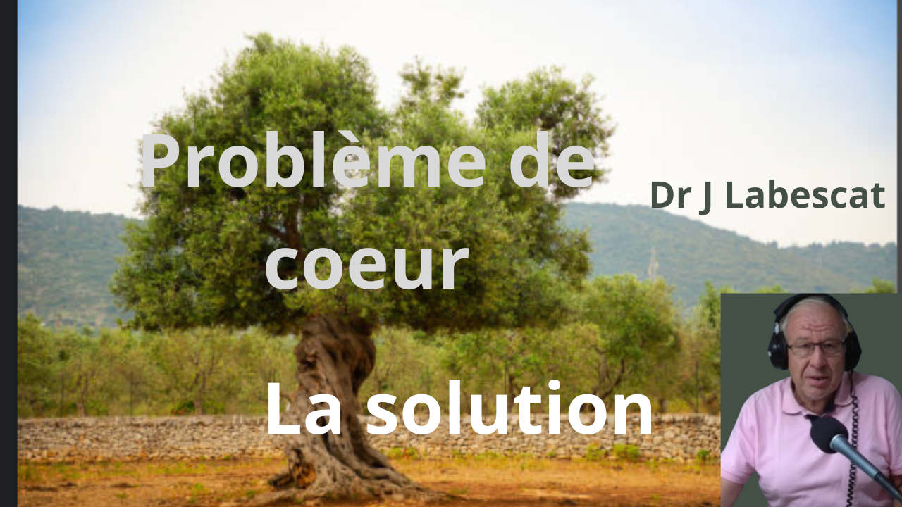 Synonyme De Vacances Pas Seulement L olivier Soigne Aussi Le Coeur Soigner Par Les Plantes synonyme-de-vacances-pas-seulement-l-olivier-soigne-aussi-le-coeur-soigner-par-les-plantes